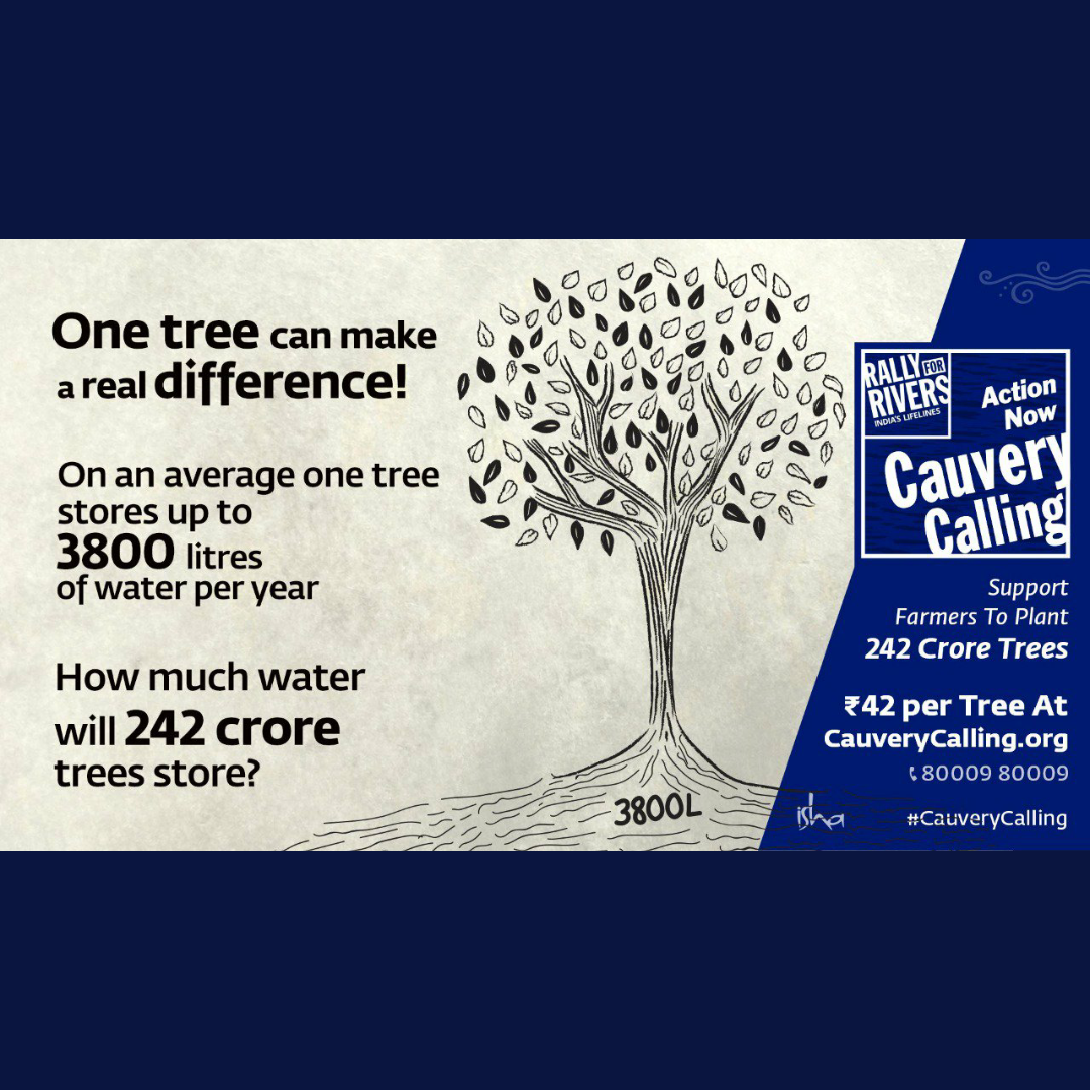 Moment of TRUTH! Cauvery Calling - Action Now! Plant trees=Save water ...