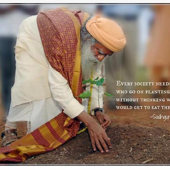 Save Environment - One Tree One Life - Bhavik Patel