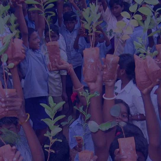 Donate Tree Saplings. Make India Greener.