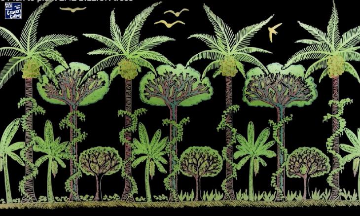 Sadhguru's Plan to plant 2.42 BILLION trees