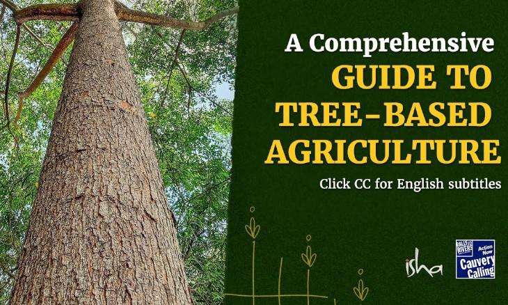 Cauvery Calling provides a Comprehensive Guide to Tree-Based Agriculture