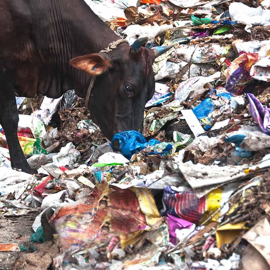 Clean Villages - Solid Waste Management